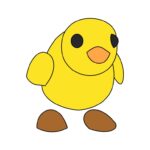 Adopt Me Chick Coloring Page and Tracing Page