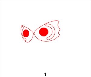 Adopt Me Snow Owl Coloring Page and Tracing Page